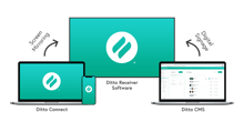 Wireless Screen Mirroring and Digital Signage | Ditto