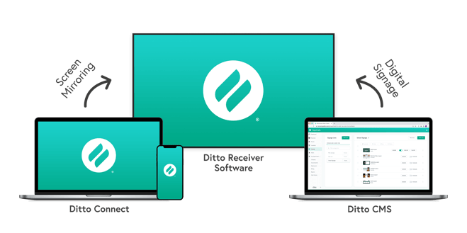 Wireless Screen Mirroring and Digital Signage | Ditto