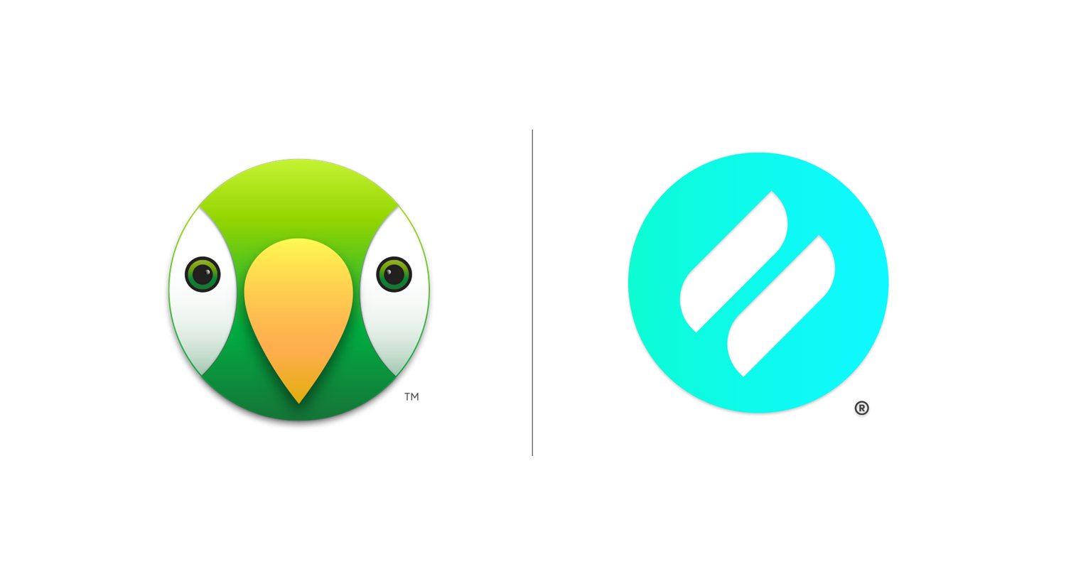 Ditto vs. AirParrot — Which is Better for Screen Mirroring?