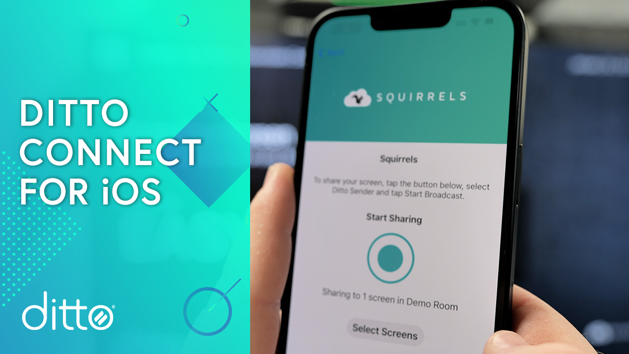 How to Mirror with Ditto
