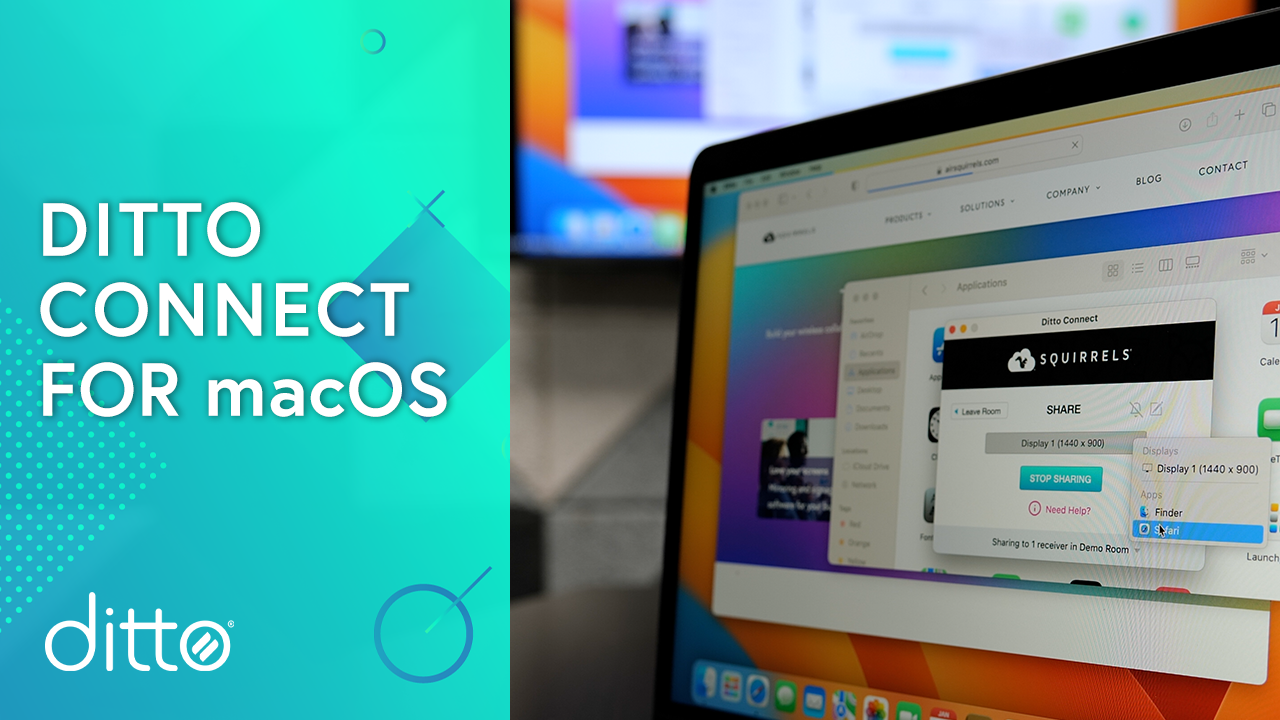 How to Mirror with Ditto