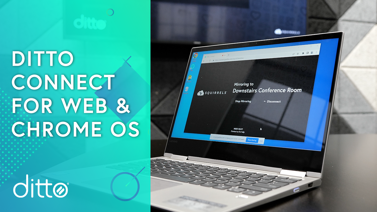 How to Mirror with Ditto
