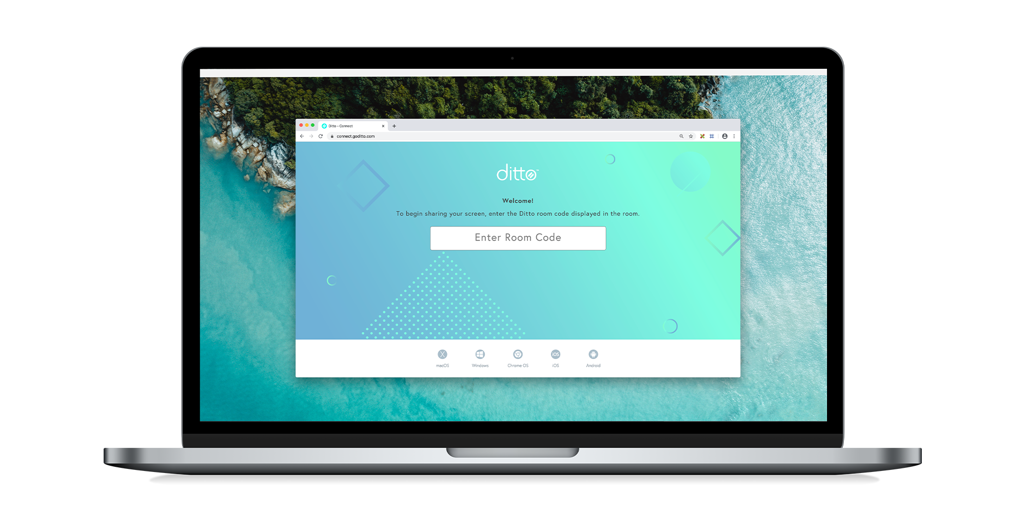 Screen mirroring and digital signage for business | Ditto